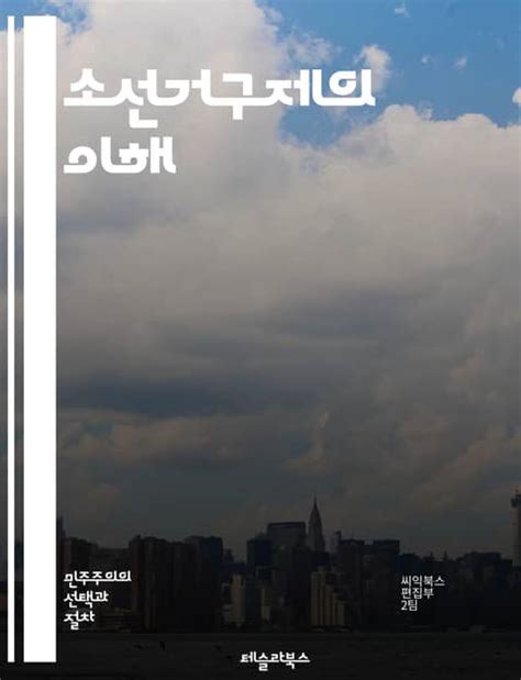 소선거구제의 이해 소선거구제 정치 선거 투표 대표성 정당 선거구 유권자 민주주의 비례대표제 정책 선거제도