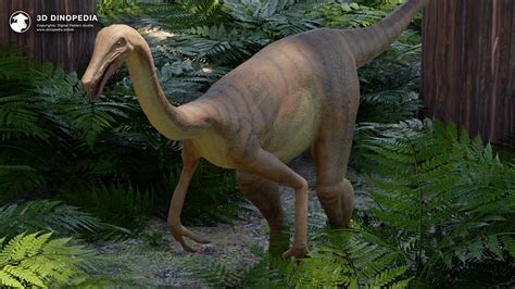3d Dinopedia Encyclopedia Of Dinosaurs In 3d
