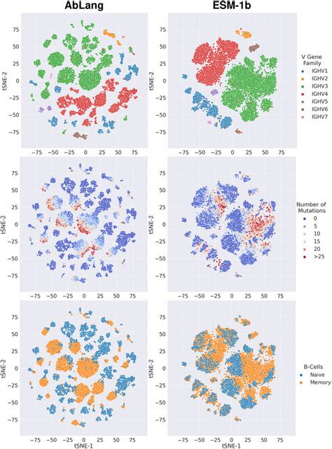 Comparison Of Ablang And Esm 1b Representations At Clustering Sequences