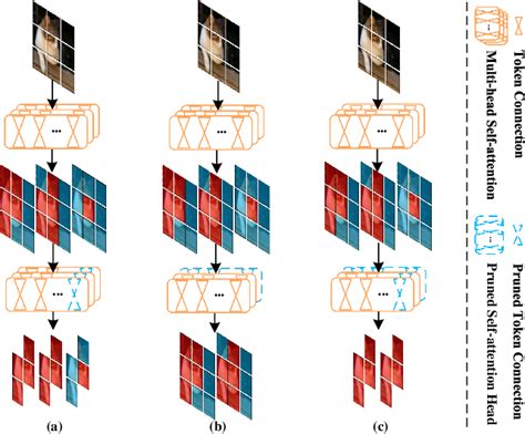 attention map guided transformer pruning for edge device paper and