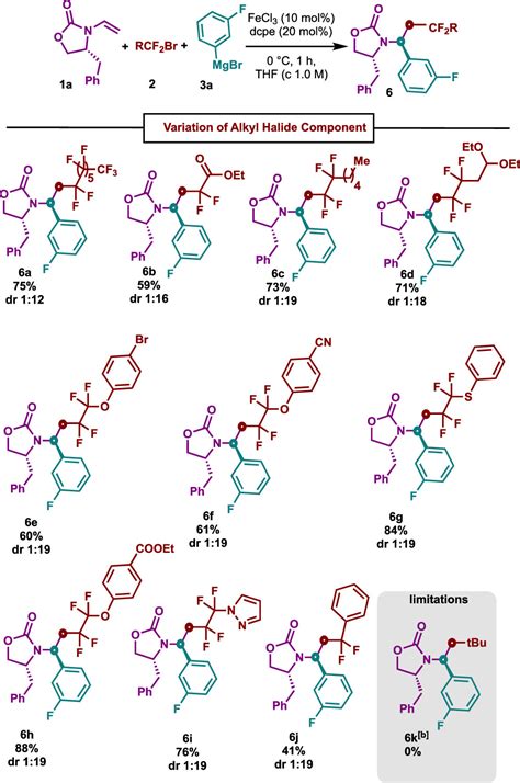 Stereoselective Fe Catalyzed Decoupled Cross Couplings Chiral Vinyl