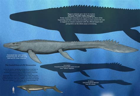 Mosasaurus Size Comparison Chart