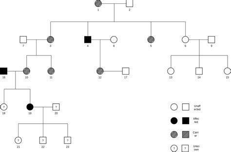Simple Pedigree Chart