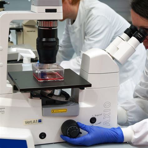 Our Latest News The Brain Tumour Charity