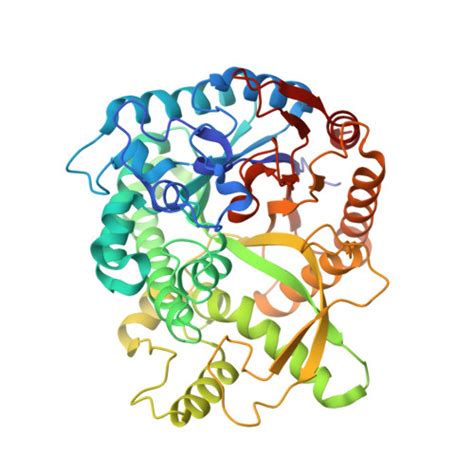 Rcsb Pdb 2jfe The Crystal Structure Of Human Cytosolic Beta Glucosidase