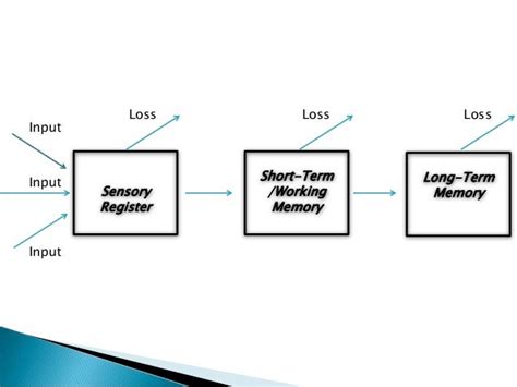 Dual Storage Model Of Memory