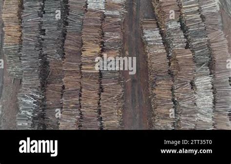 Log Storage System Stock Videos And Footage Hd And 4k Video Clips Alamy