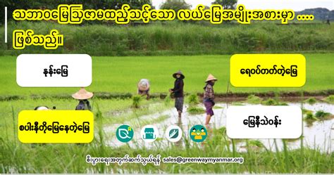 အစိမ်းရောင်လမ်း အစိမ်းရောင်လမ်းရဲ့ ဉာဏ်စမ်းအစီအစဉ်
