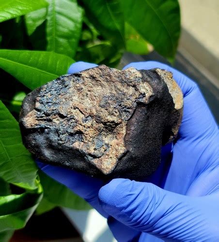 Meteoritegeorgia Junction City23140 Gram Fresh Individual