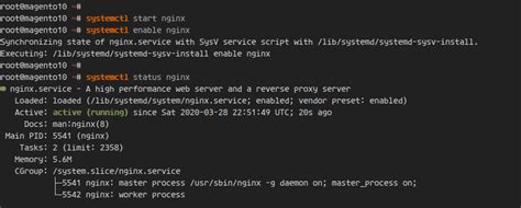 How To Install Magento On Debian With Nginx Vitux