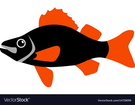 Perch Royalty Free Vector Image Vectorstock