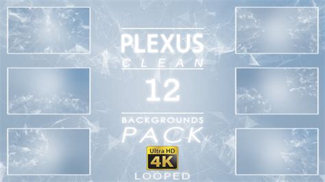 Plexus Clean Backgrounds Pack Motion Graphics VideoHive