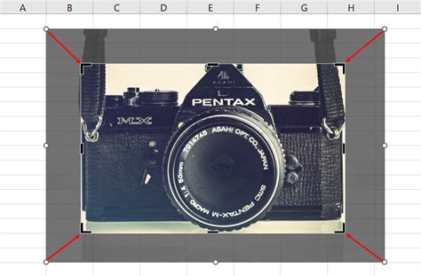 6 ways to crop images in microsoft excel infoxiao