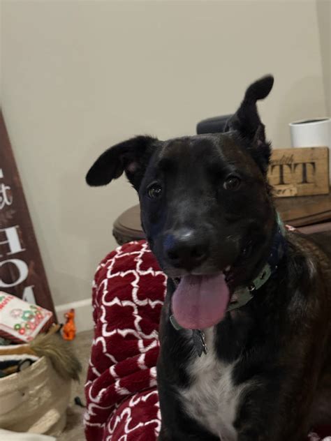 Happy Cosmo By Scaredofthemoon5 On Deviantart