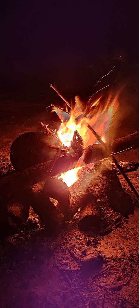 Api Unggun Api Unggun Api Penyimpanan Foto