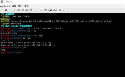 当网站根目录包含双引号”特殊字符时，终端执行命令失效 · Issue 202 · Antswordprojectantsword · Github