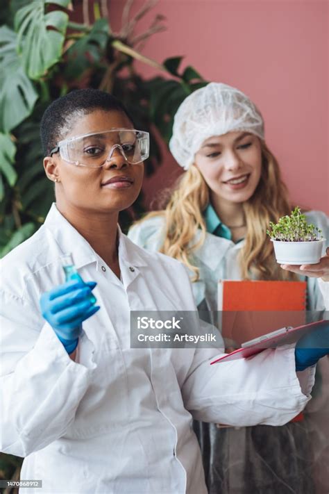 생물학 연구 과학 테스트를 하는 실험실에서 일하는 두 명의 다양한 여성 과학자 아프리카 계 미국인 백인 모델 과학 평등권 농업 식물학에서 여성의 개념 20 24세에 대한