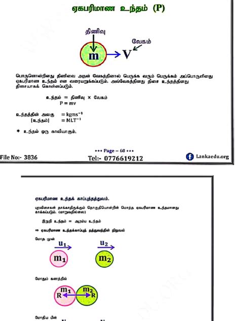 Physics Momentum Pdf