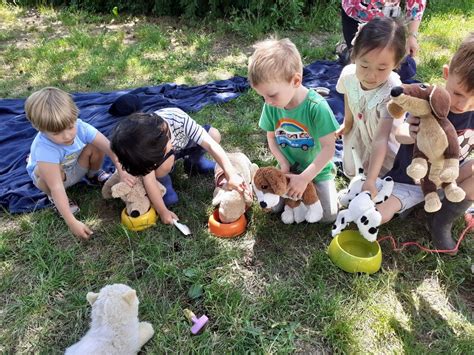 Pre O Vzdel Va Deti O Ochrane Zvierat A Psov V Tulkoch Dr Max