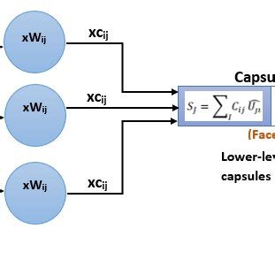 Dynamic Routing Process Download Scientific Diagram