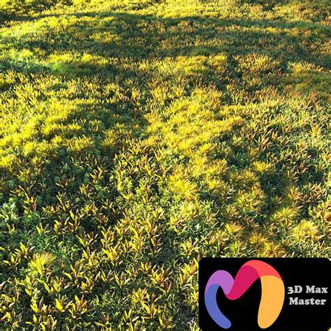 Grass Set 2 3d Max 3dmaxter Grass Set 2 3d Max 3dmaxter