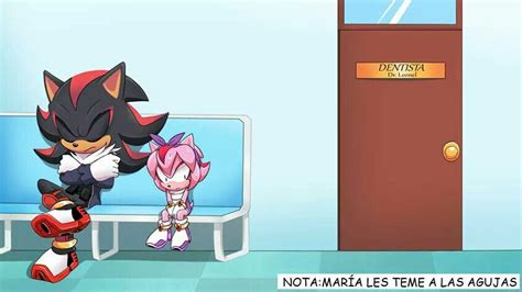 Pin By Inin Ococh On Toonsite Animation Shadow And Amy Sonic Fan