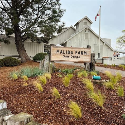 Malibu Farm San Diego San Diego Ca
