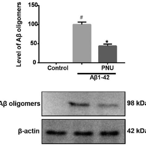 Pnu Enhances Primary Astrocytes To Inhibit Aβ Aggregation Cells Were