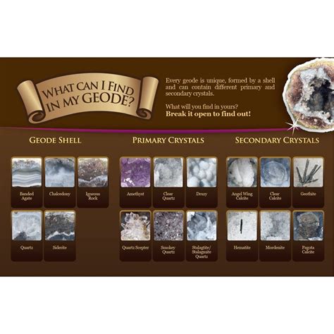 Break Your Own Geodes Kit Whole Geodes Miners Choice Geode How To Find Out Rock
