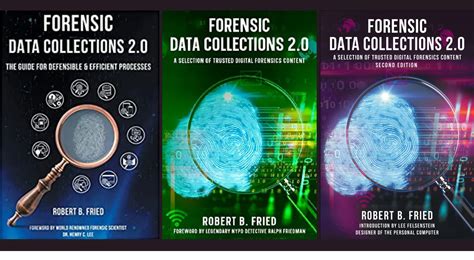 Robert Fried Senior Vice President And Global Head Of Forensics And Investigations Sandline