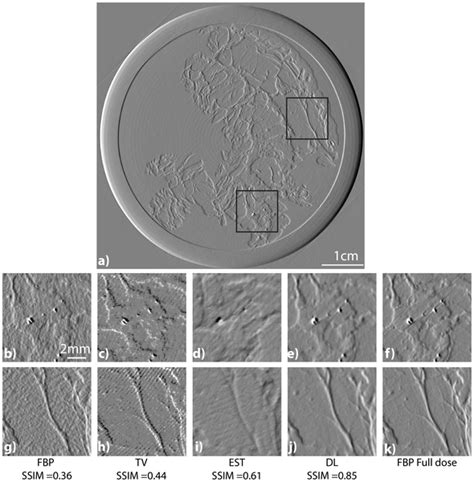 Fast Fourier Transforms Plos One