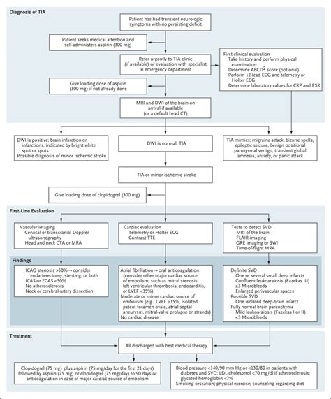 Transient Ischemic Attack