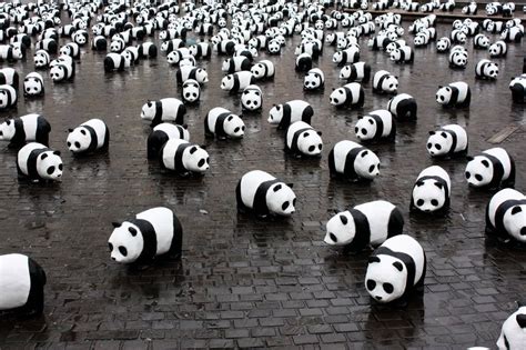 Pandas Categoricals