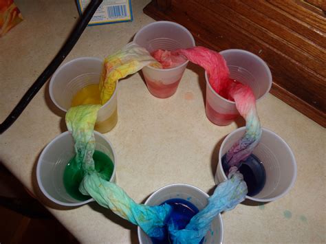 I Made This By Using Six Paper Towels Six Cups With Water Inside Then