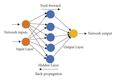 typical feed forward back propagation neural network download