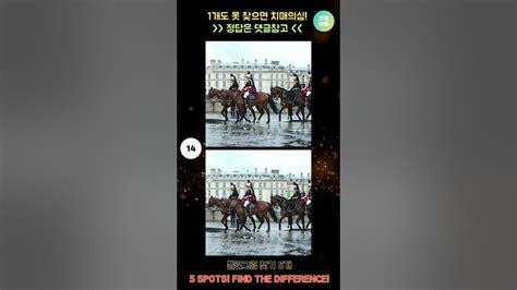 🧐집중력 천재는 바로 찾는 차이점 5개 Youtube