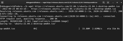 如何修复bash wget Command Not Found 错误 LinuxStory