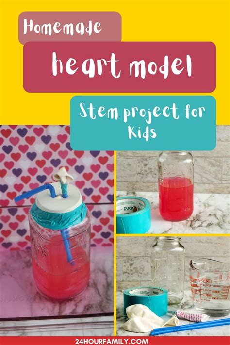 Easy Diy Heart Model Using Household Items