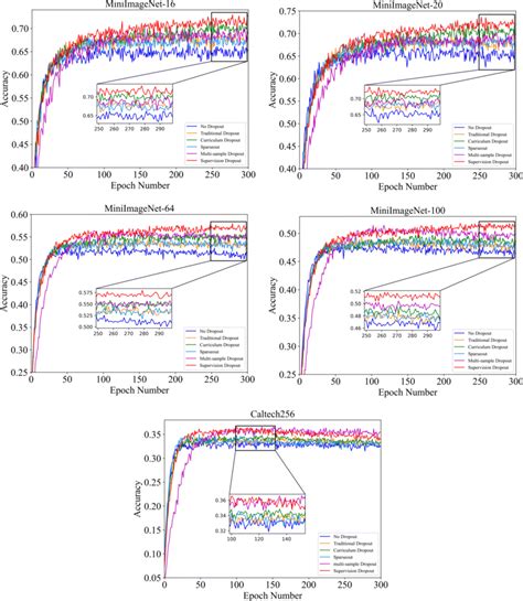 Accuracy Curves Of Different Dropout Training Strategies On The Public Download Scientific