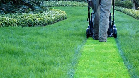 Grass Cutting Tips And Tricks Less Work And Better Lawn