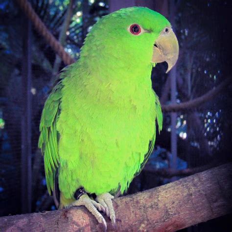 Leonel Tuchez Un Poco De Humor Regalo Para Mama