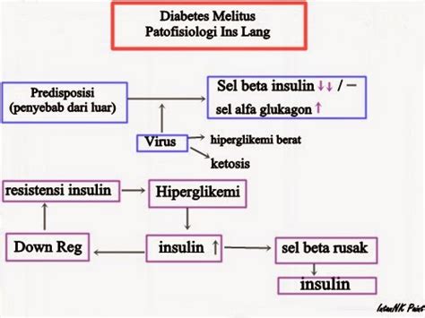 Webblog Pathwat Patofisiologi Rumus And Contoh