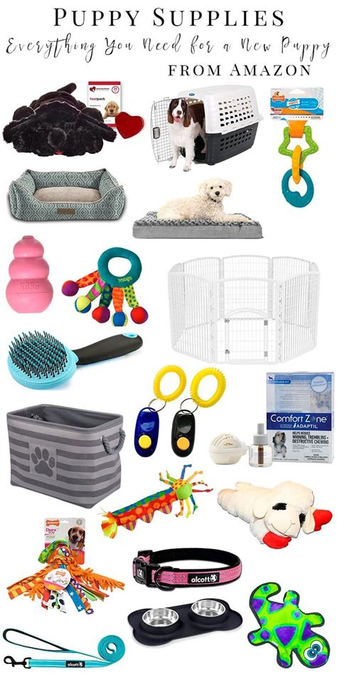 Puppy Supplies What You Need For A New Puppy Poodle Puppy Standard