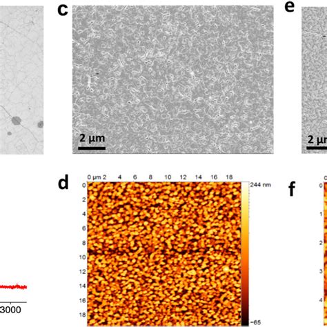 A Sem Image Of Monolayer Graphene Transferred To Sapphire 0001 B Download Scientific