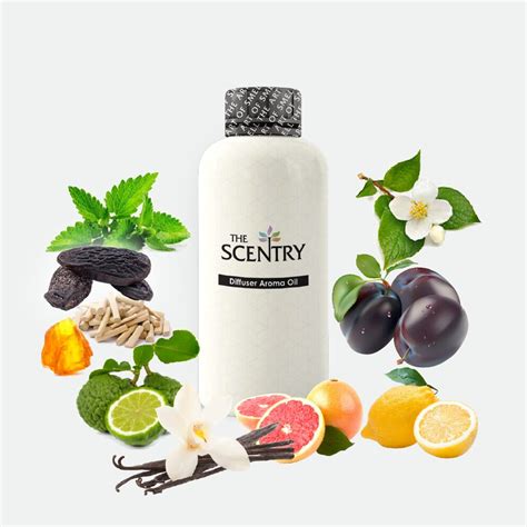 Patchouli The Scentry The Art Of Smell