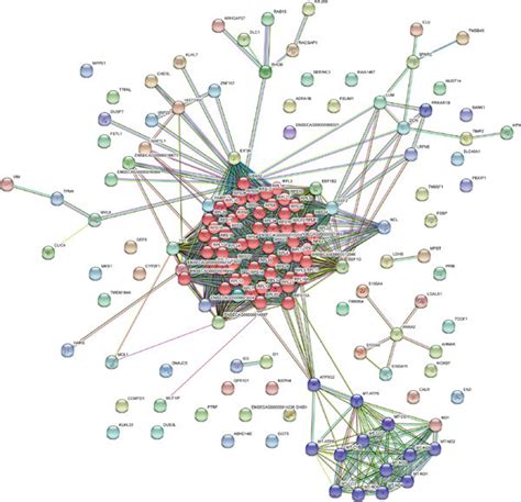 Connection Between The Protein Coding Fraction Of The Cargo According
