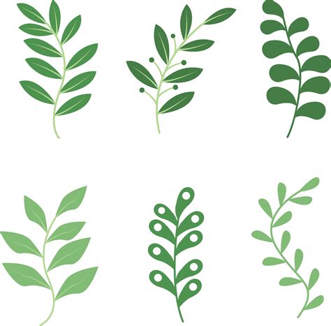 Leaf Decoration Shape Simple Design Vector Illustration 29218019