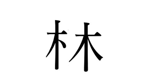 Test Object Detection Model By Test