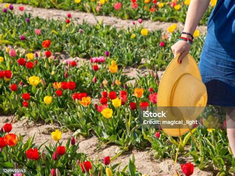 여름 햇살 여성 손 잡고 모자 여자는 아름다운 푸른 하늘과 꽃 정원 배경에 모자를 들고있다 자연에서 생활 스타일 여성 개념 개념에 대한 스톡 사진 및 기타 이미지 Istock