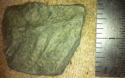 Fossil 4 Member Collections The Fossil Forum